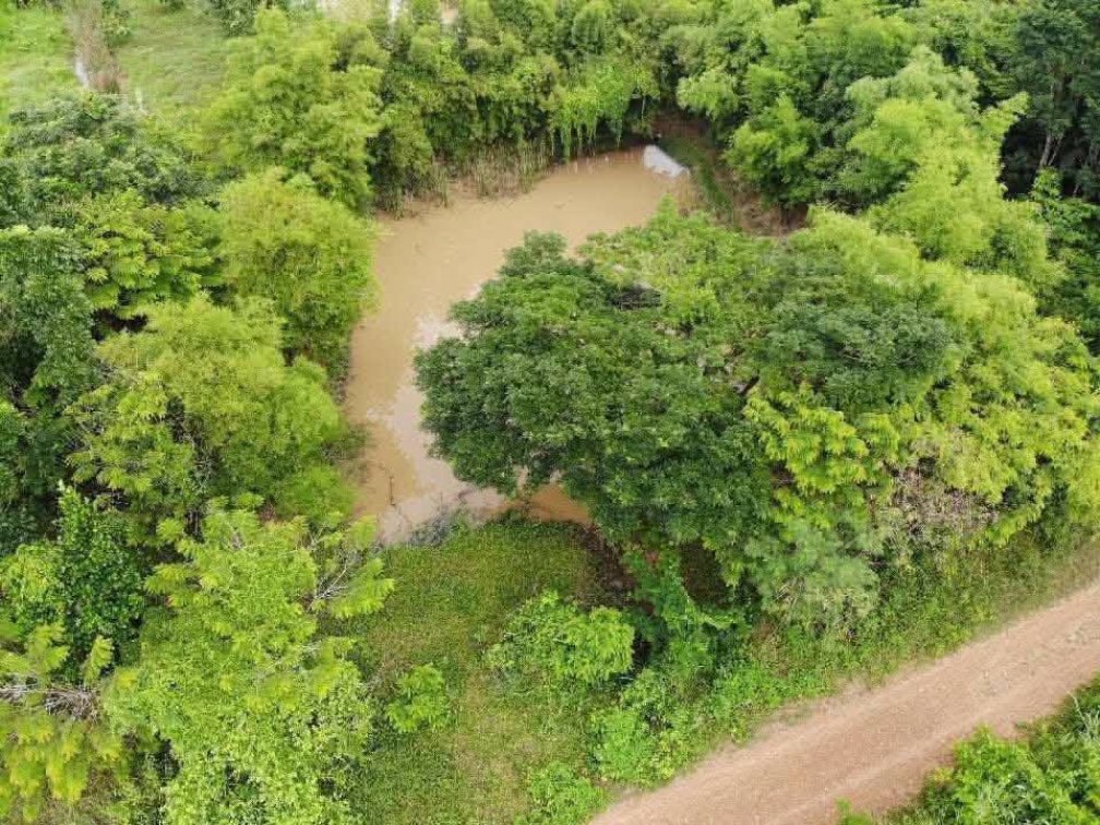 🤩 ⭐️ ☀️ 🎣 🐠 🇹🇭 New Fishing Lake Land Instruction Alert ‼️ Beautiful ...